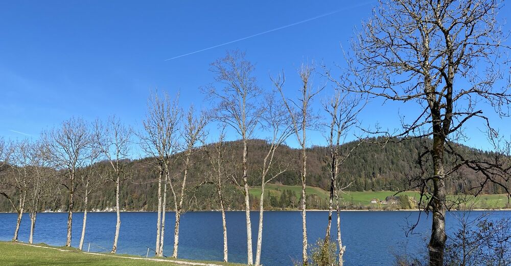 Fuschlsee Rundwanderweg - BERGFEX - Wanderung - Tour Salzburger Land