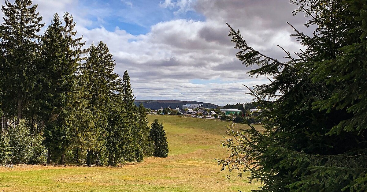 Wanderung Rennsteig Kreuzung - Masserberg - BERGFEX - Wanderung - Tour ...