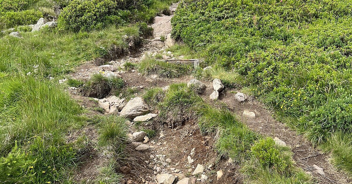Passo Palade - Monte Lucco - BERGFEX - Wanderung - Tour Südtirol
