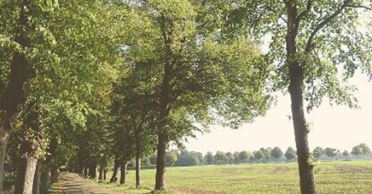 Rundweg Quaal-Wardersee - BERGFEX - Wanderung - Tour Schleswig-Holstein