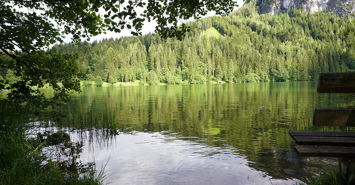 Gleinkersee - Dümlerhütte - BERGFEX - Vandring - Tour Upper Austria