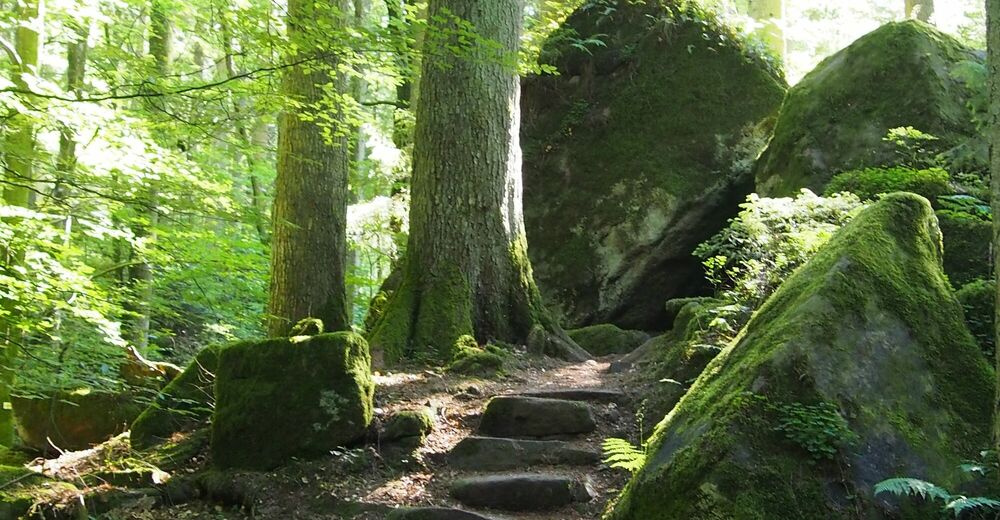 Klosterrundweg Calw-Altburg - BERGFEX - Wanderung - Tour Baden-Württemberg