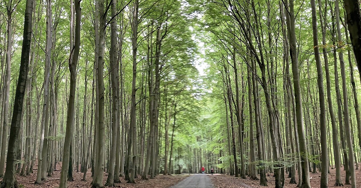 Sassnitz, Piratenschlucht, Deutschland - BERGFEX - Wanderung - Tour ...