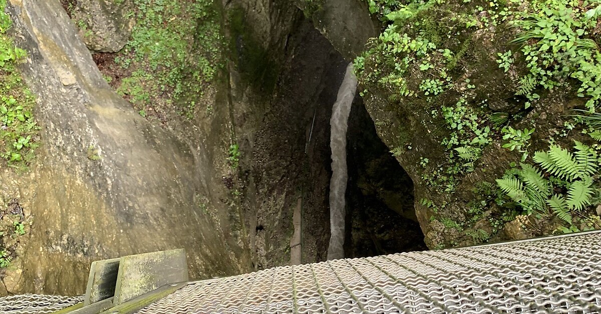 Alpe Dornach - Algau coaster - BERGFEX - Wanderung - Tour Bayern