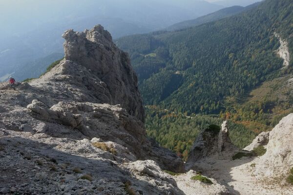 Haidsteig (C/D) auf die Preiner Wand 1783m - BERGFEX - Klettersteig ...