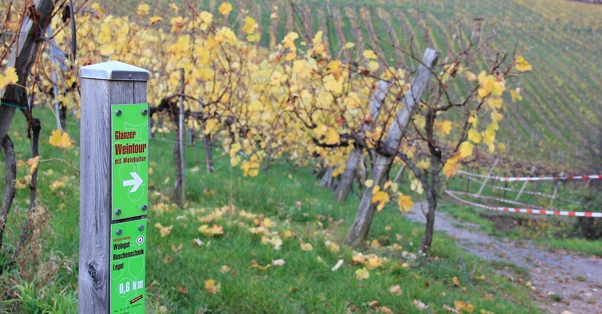 Glanzer Weintour mit Weinkultur - BERGFEX - Themenweg - Tour Steiermark