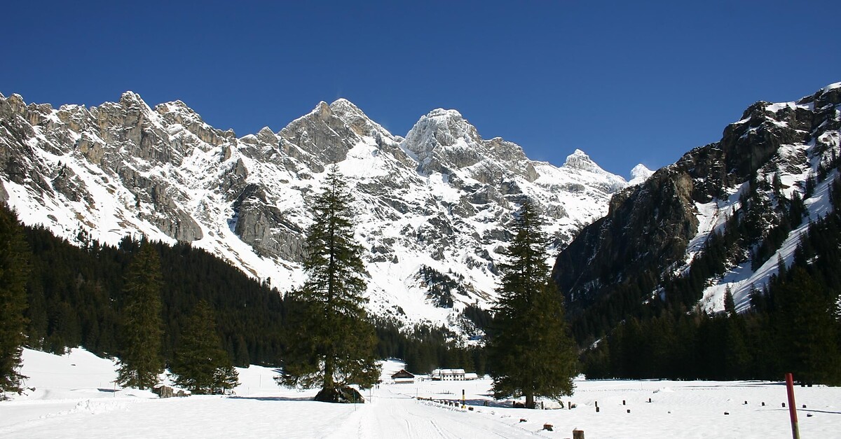 Solalex - BERGFEX - Skitour - Tour Waadtland / Genferseegebiet