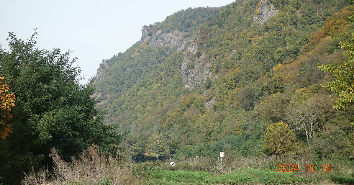AGGSTEIN Ruine, Aggstein, Druidentürme und zurück 20241019 - BERGFEX ...