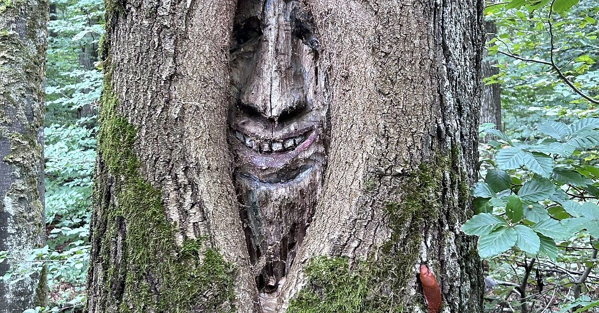 Plattenhardt Uhlbergturm-Neuenhaus-Burkardsmühle - BERGFEX - Wanderung ...