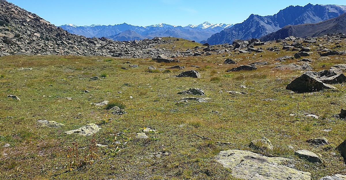 Quellentrail Alp Trida - BERGFEX - Themenweg - Tour Graubünden