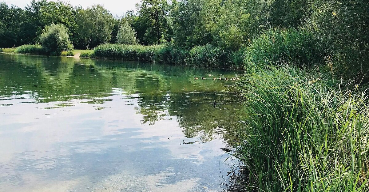 Urban Hike Linz - Pichlinger See - BERGFEX - Wanderung - Tour ...