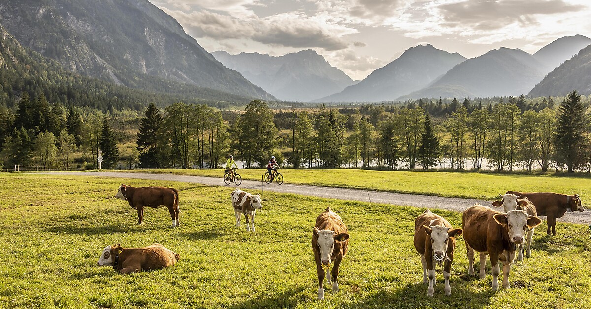 BERGFEX: Zugspitz Region: Holiday Zugspitz Region - Travel Zugspitz Region