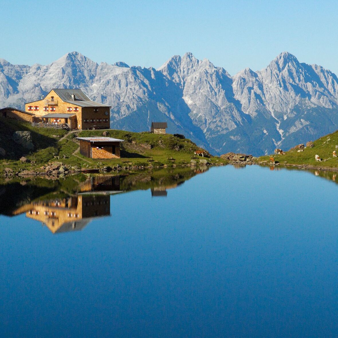 bergfex: Weather, webcams and ski resorts in Austria and Europe