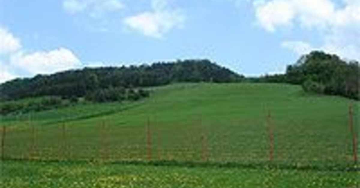 BERGFEX-Sehenswürdigkeiten - Gras-Ski - Bernstein - Ausflugsziel ...