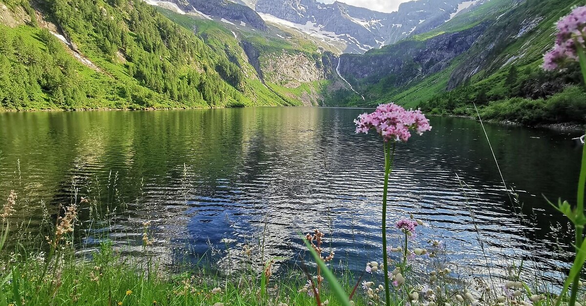 Wanderung Rotgüldensee - BERGFEX - Wanderung - Tour Salzburger Land