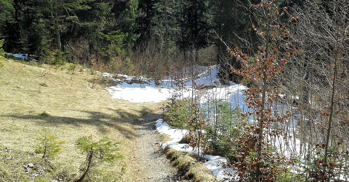 Hochalm - BERGFEX - Wanderung - Tour Bayern