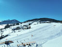 BERGFEX: Ski resort Goldegg - Skiing holiday Goldegg