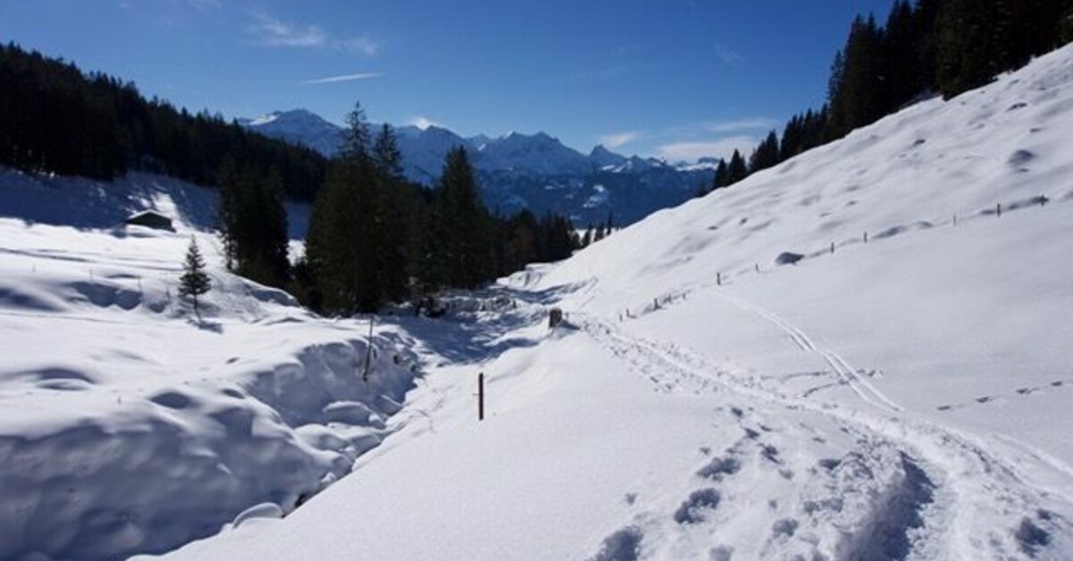 Waldegg Trail - Beatenberg (signalisiert) - BERGFEX - Schneeschuh ...