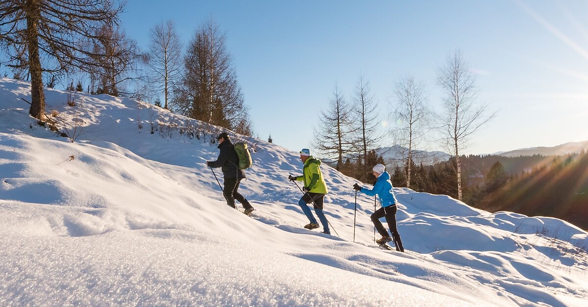 SW_W2 Naggl-Trail - BERGFEX - Schneeschuh - Tour Kärnten