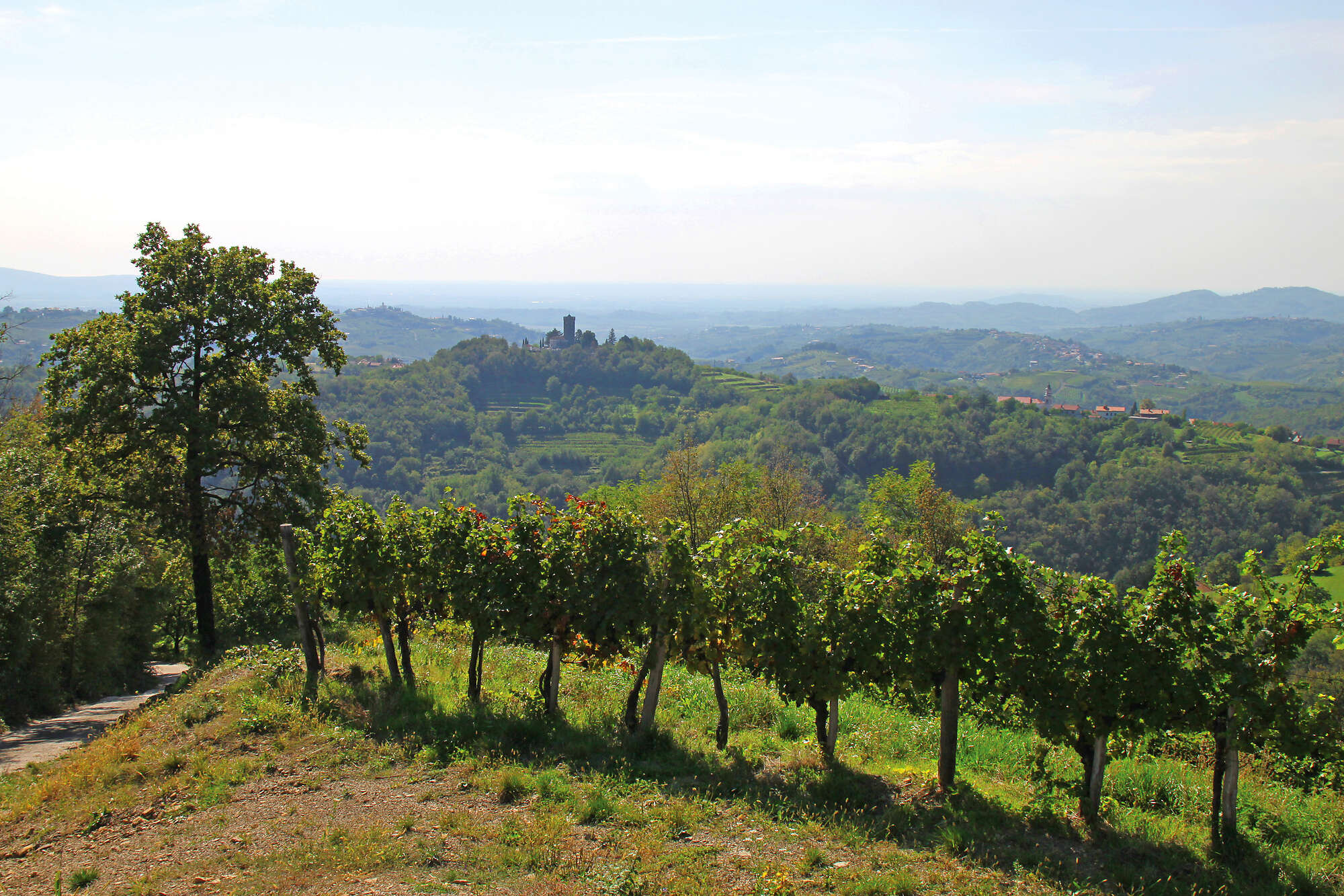 BERGFEX: Brda: Urlaub Brda - Reisen Brda
