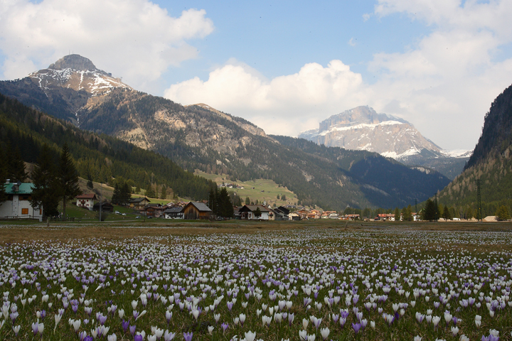 BERGFEX: Mazzin: Urlaub Mazzin - Reisen Mazzin