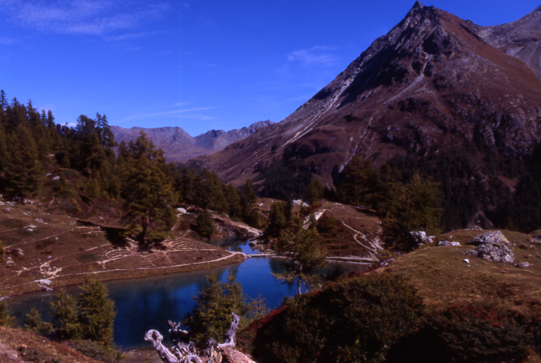 BERGFEX: Arolla: Vacances Arolla - Voyager Arolla