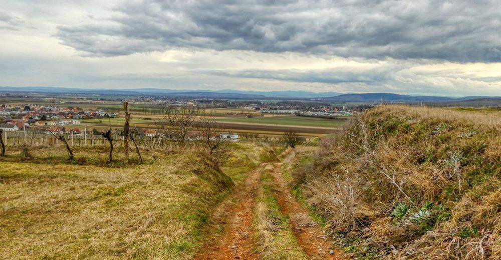 Der Gaisberg bei Straß im Straßertal, Niederösterreich - BERGFEX - Wanderung - Tour Niederösterreich