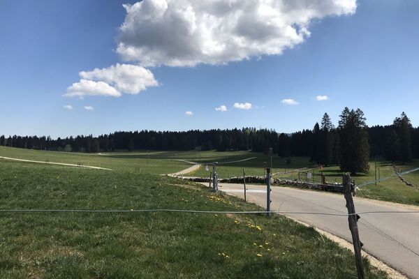 Les Breuleux - Mont Soleil - Chézard-Saint-Martin - BERGFEX - Wanderung ...
