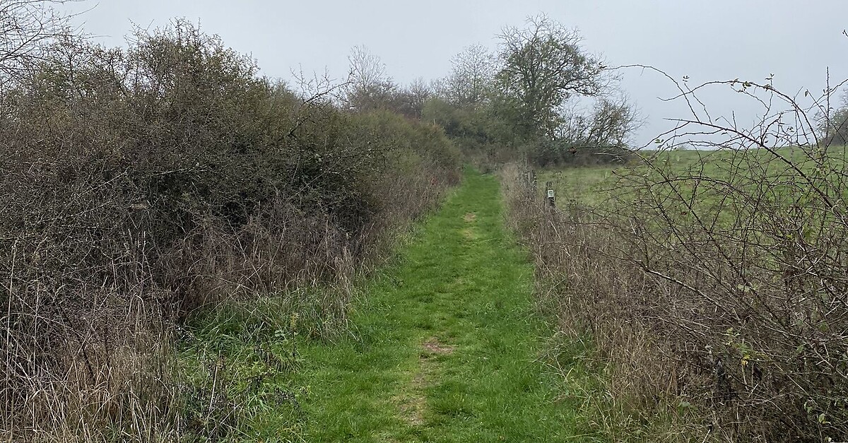 Gehweiler-Reitscheid-Grügelborn Tour - BERGFEX - Wanderung - Tour Saarland