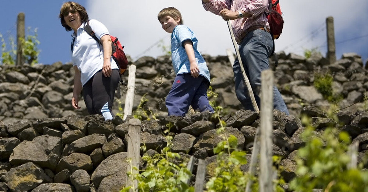 Traminerweg Klöch, 1. Abschnitt, Rund um den Seindl - BERGFEX ...