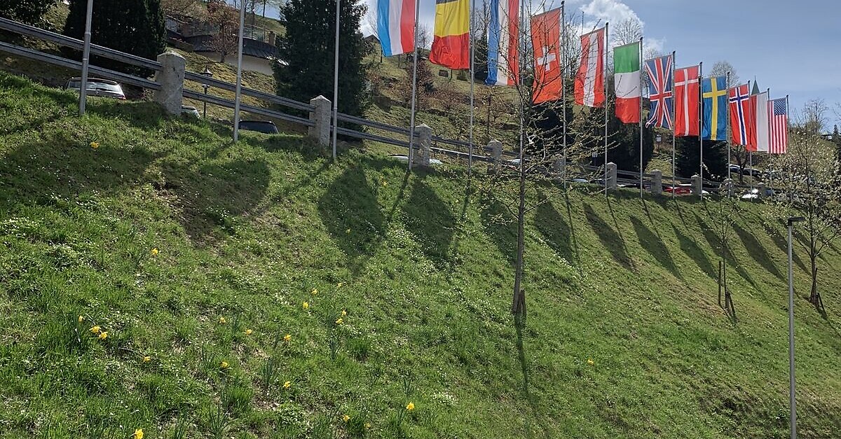 Dollenberg nach Waldulm - BERGFEX - Wanderung - Tour Baden-Württemberg