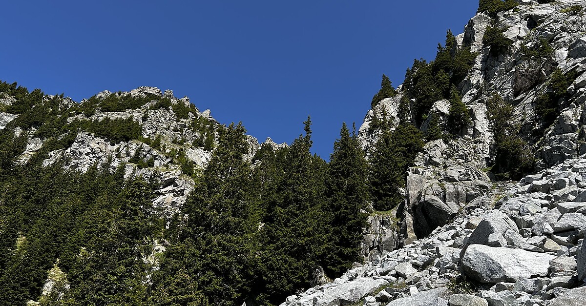 Ifinger Scharte-Taser Höhenweg-Oswald Scharte-Falzeben - BERGFEX - Alta ...