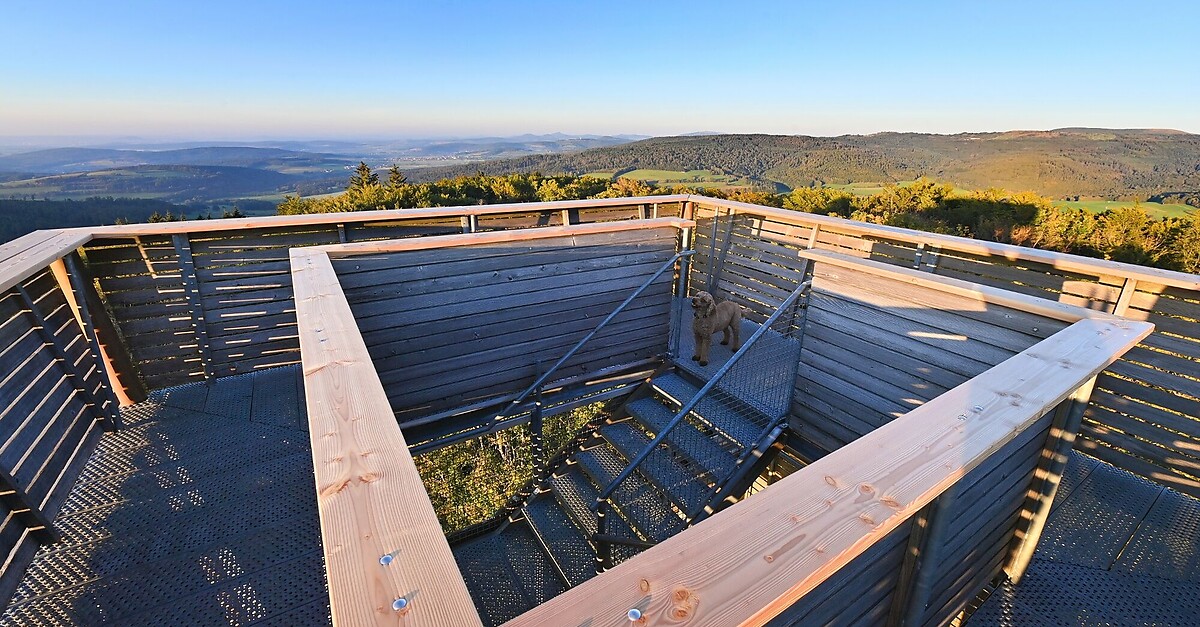 Extratour Der Mottener - Motten - Rhön - BERGFEX - Wanderung - Tour Bayern