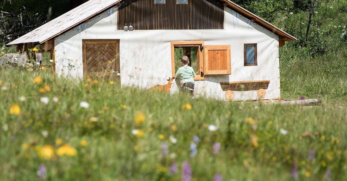 Schellen-Ursli-Weg - BERGFEX - Themenweg - Tour Graubünden