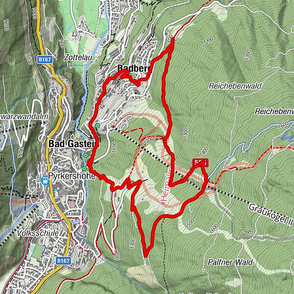Graukogel Mittelstation Runde - BERGFEX - Wanderung - Tour Salzburger Land