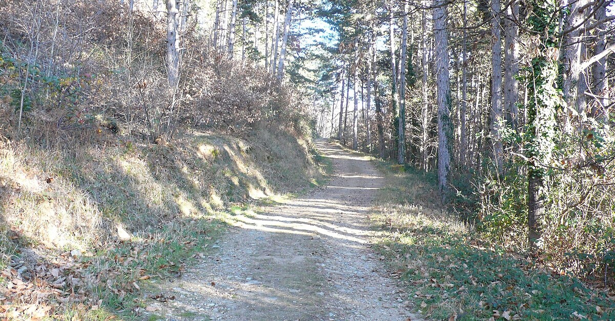 MUSINE’ BIKE TRAIL PERCORSO DELLA MIOSA - BERGFEX - Mountainbike - Tour ...