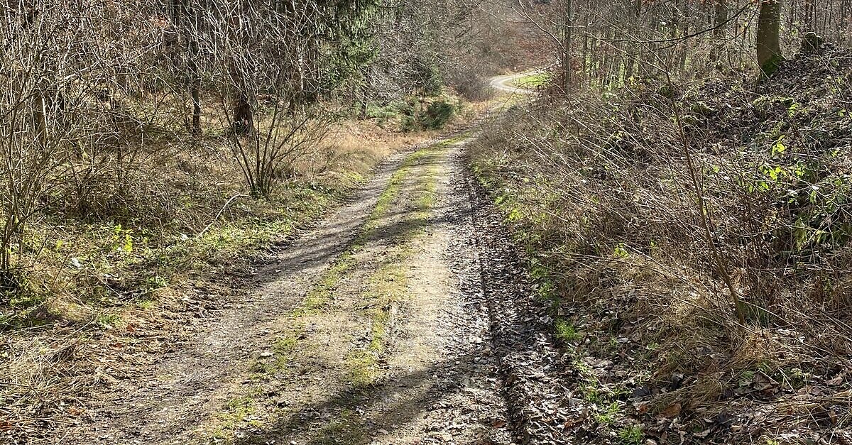 Hessenberg - BERGFEX - Wanderung - Tour Bayern