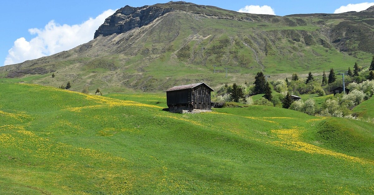 Rundwanderung Surcuolm - Bündner Rigi - Piz Mundaun - Cuolm Sura ...