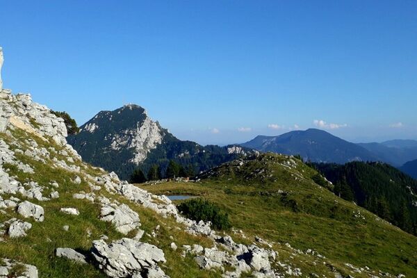 Hintersteiner See Rundweg - BERGFEX - Wanderung - Tour Tirol