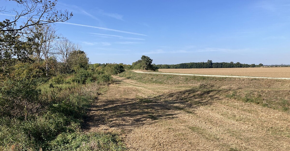 Von Laa an der Thaya nach Zwingendorf - BERGFEX - Wanderung - Tour ...