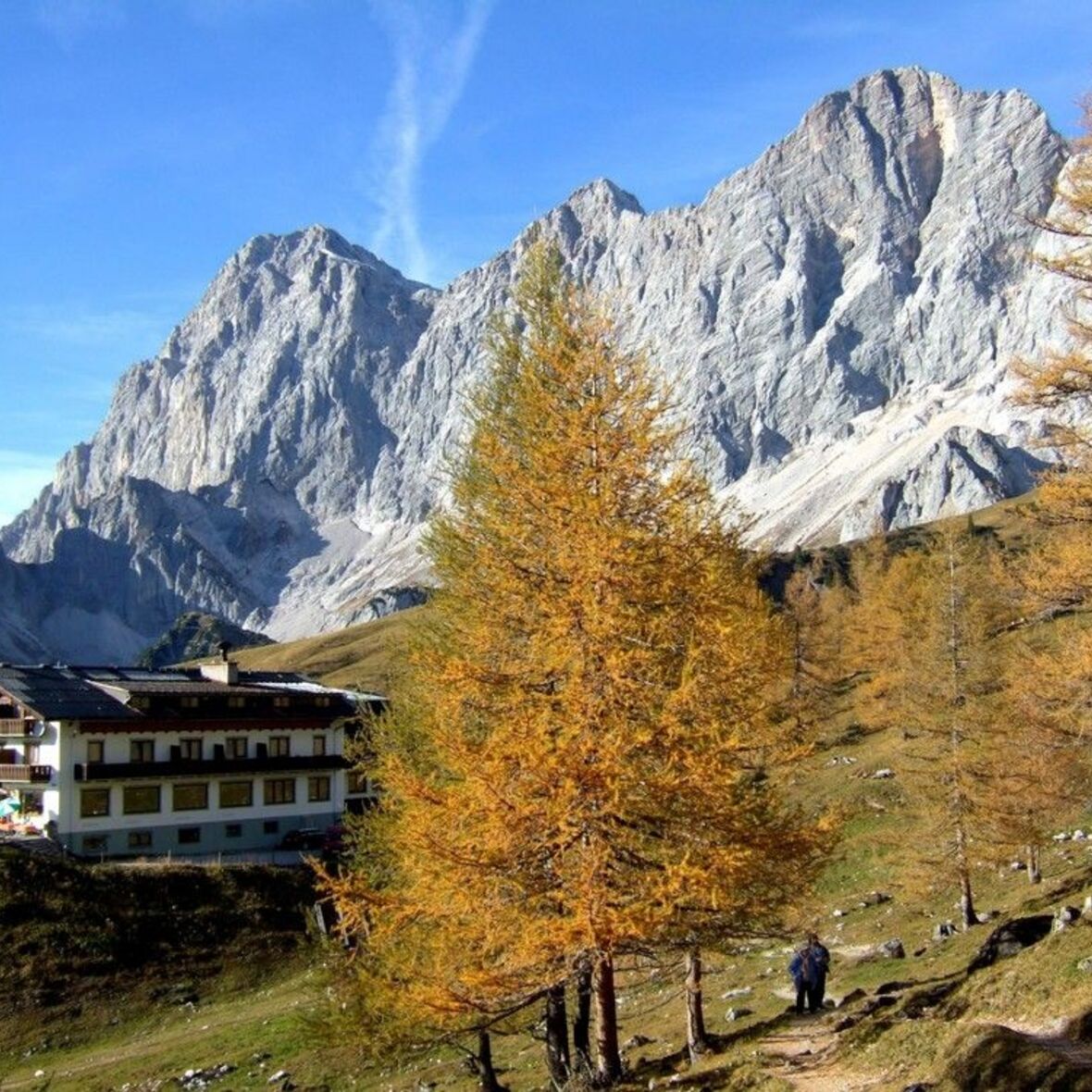 bergfex: Weather, webcams and ski resorts in Austria and Europe