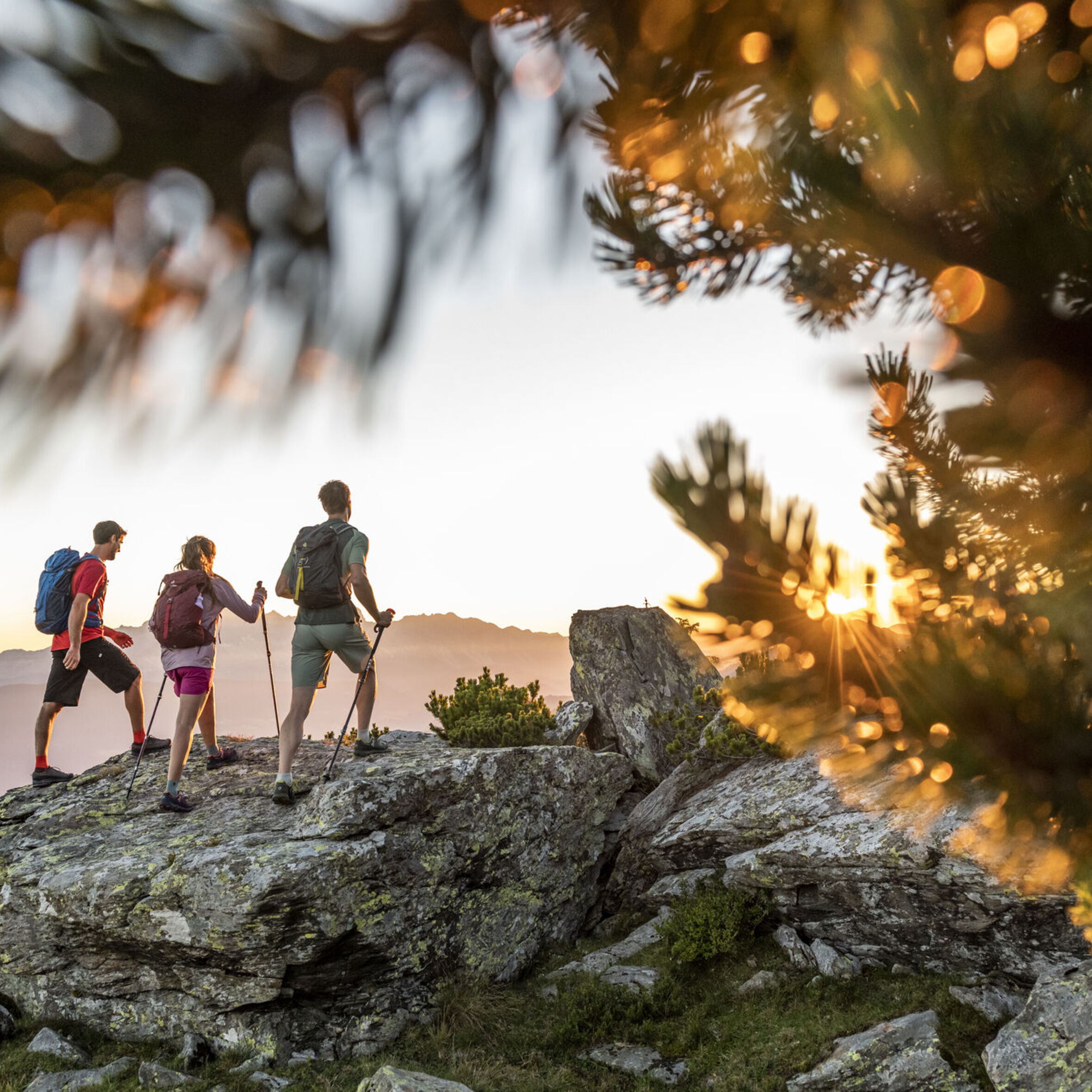 bergfex: Weather, webcams and ski resorts in Austria and Europe