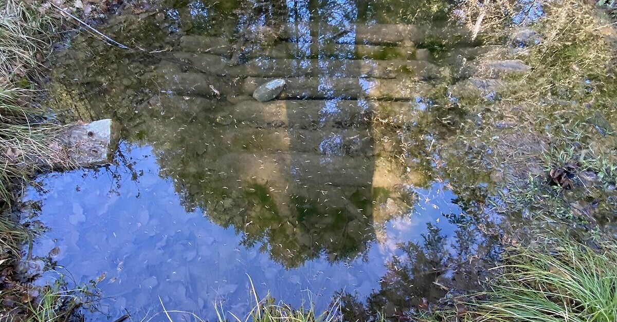 Munderfing-Windräder - BERGFEX - Wanderung - Tour Oberösterreich