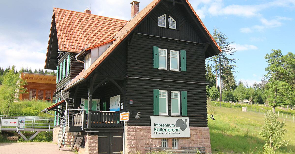 Von der moorigen Höhe ins Tal der plätschernden Enz - BERGFEX ...