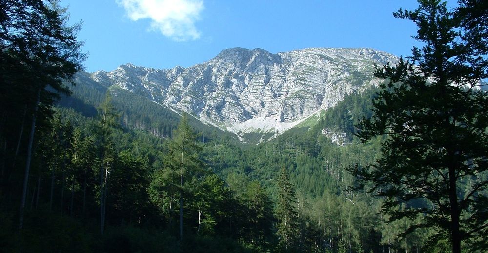 Der "Rauhe Kamm" - BERGFEX - Klettern - Tour Niederösterreich