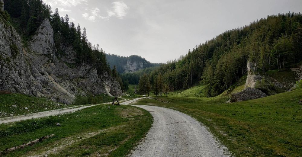 Seebergalm-Turnaueralm-Rotsohlalm-Hohe Veitsch - BERGFEX - Wanderung ...
