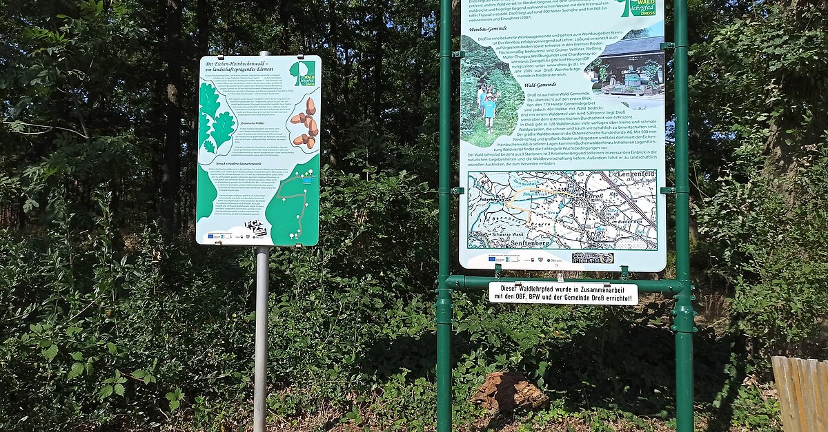 Droßer Wanderweg D3 - BERGFEX - Wanderung - Tour Niederösterreich