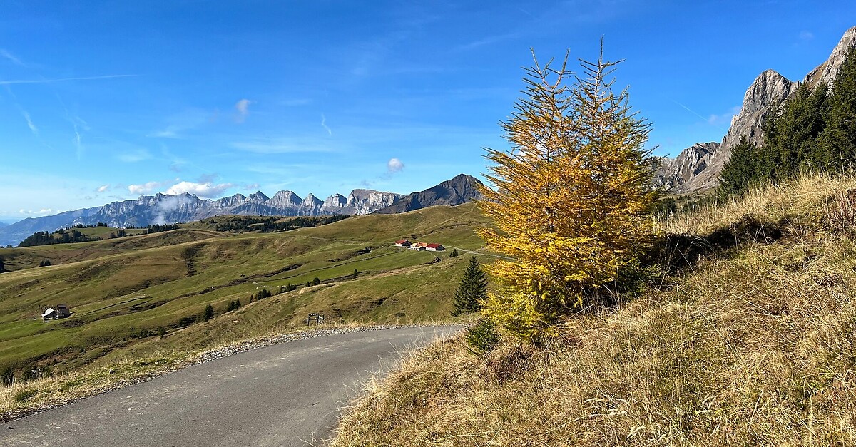 Absteig: Sennis - Talstation - BERGFEX - Wanderung - Tour Ostschweiz