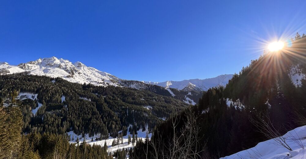 Navis Peer Alm - BERGFEX - Wanderung - Tour Tirol