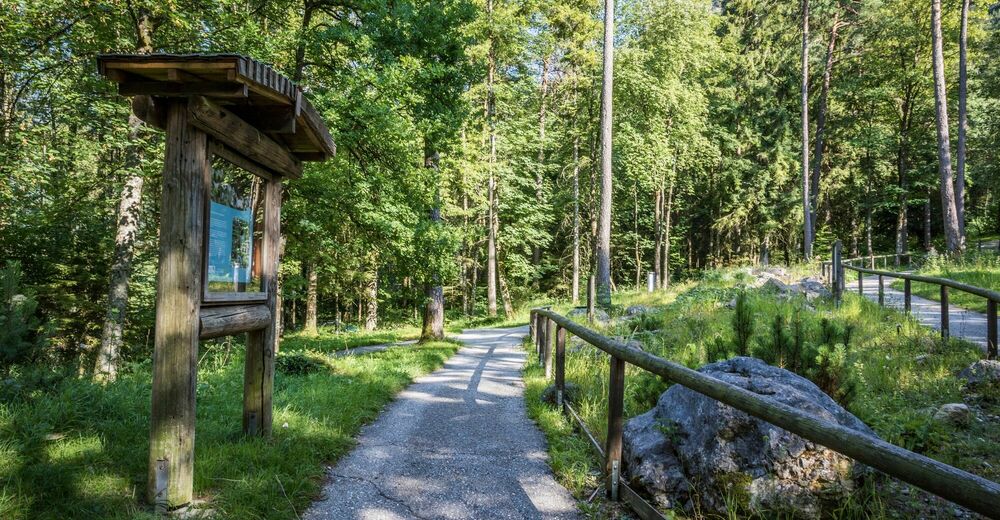 Hallthurm - BERGFEX - Wanderung - Tour Bayern